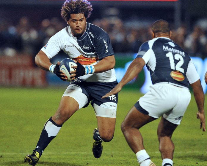 Average Rugby Player Size : A Quick Guide 2023 – Gernika Rugby